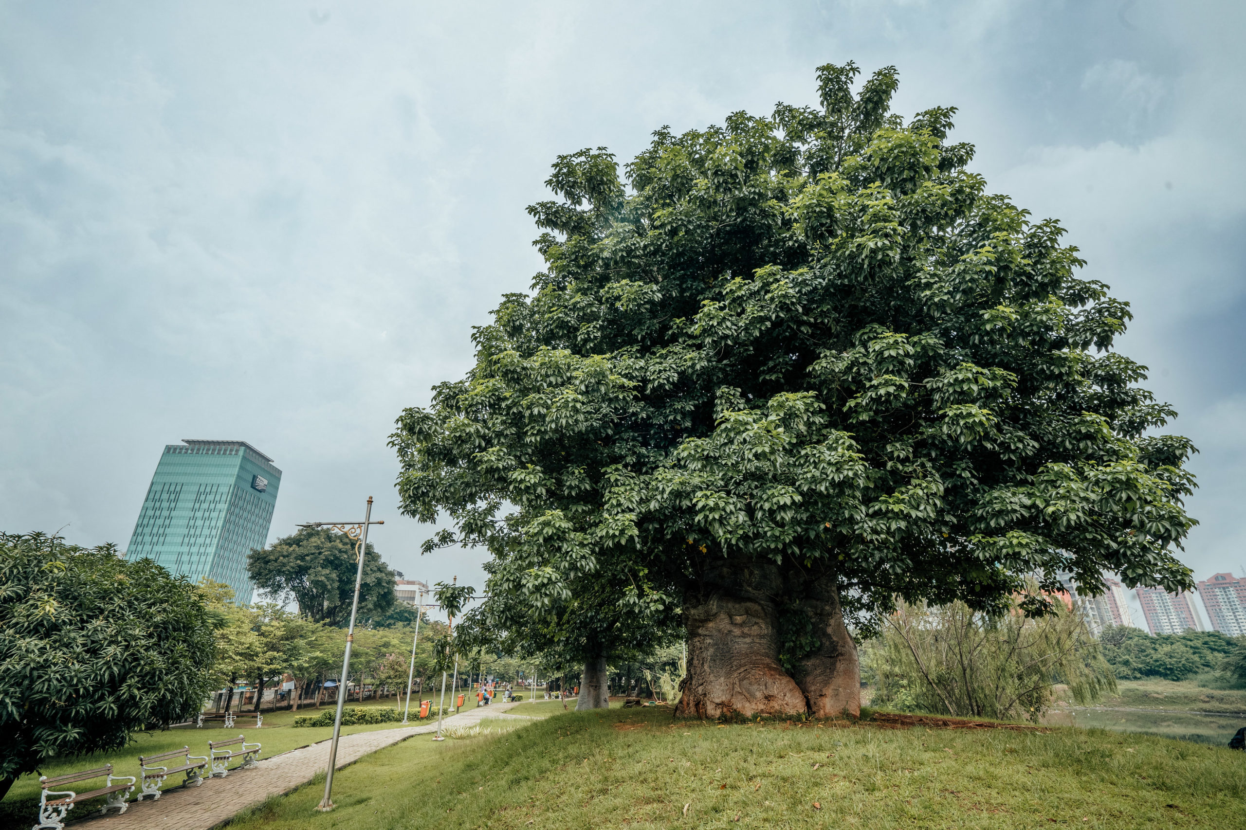 RIA RIO PARK – Pulomas